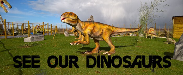 Animal Experiences At Wingham Wildlife Park In Kent