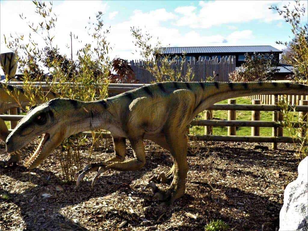 Velociraptor - Dinosaur Zoo at Wingham Wildlife Park, Kent