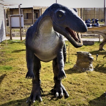 Yandusaurus - Dinosaur Zoo at Wingham Wildlife Park, Kent