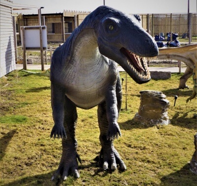 Dinosaur Zoo - Animal Experiences At Wingham Wildlife Park In Kent