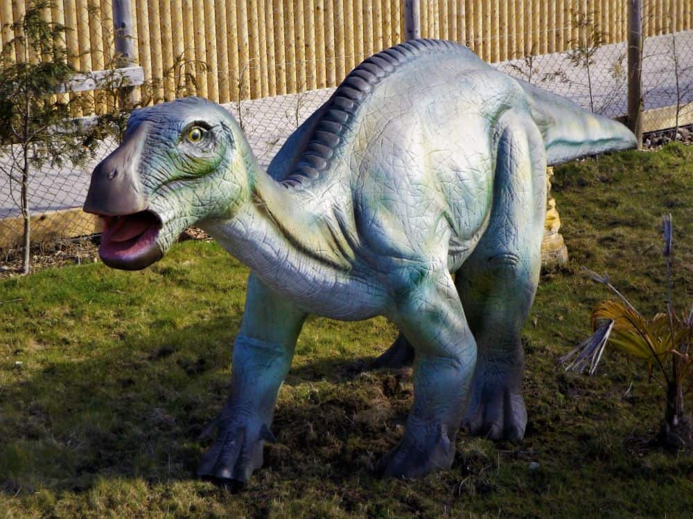 Iguanadon - Dinosaur Zoo at Wingham Wildlife Park, Kent