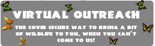 School Visits - Animal Experiences At Wingham Wildlife Park In Kent