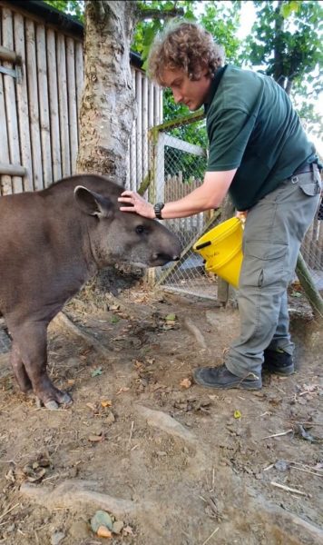 International Zookeeper Day - Animal Experiences At Wingham Wildlife ...