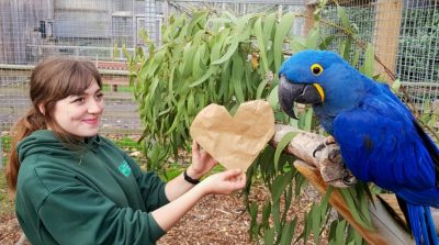 The Bird Nerds (otherwise known as Team Birds) - Animal Experiences At ...