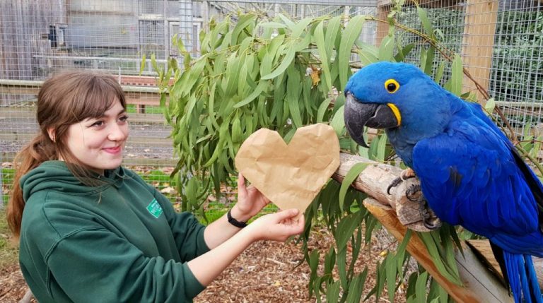 The Bird Nerds (otherwise known as Team Birds) - Animal Experiences At ...