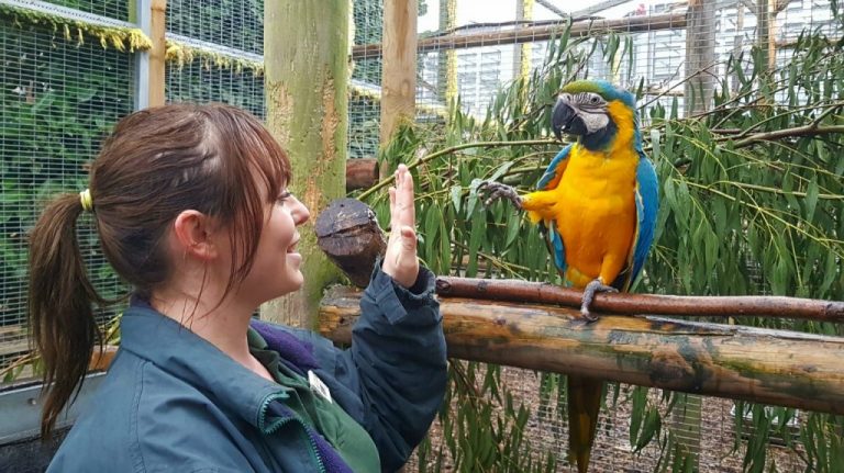 The Bird Nerds (otherwise known as Team Birds) - Animal Experiences At ...