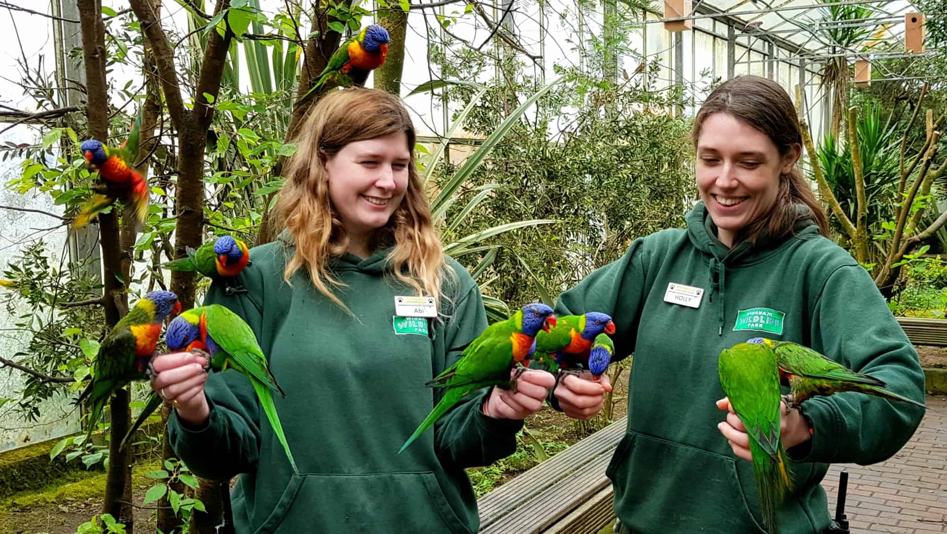 Have you fed our Rainbow Lorikeets yet? - Animal Experiences At Wingham ...