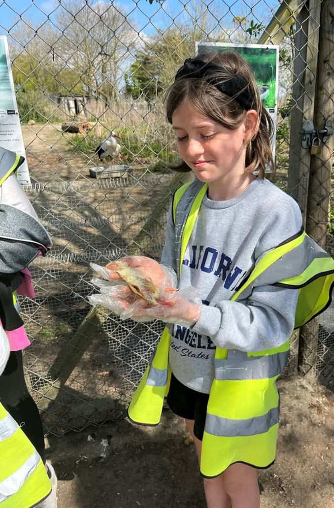 Junior Journalist Ava - April 2025 Visit - Animal Experiences At ...