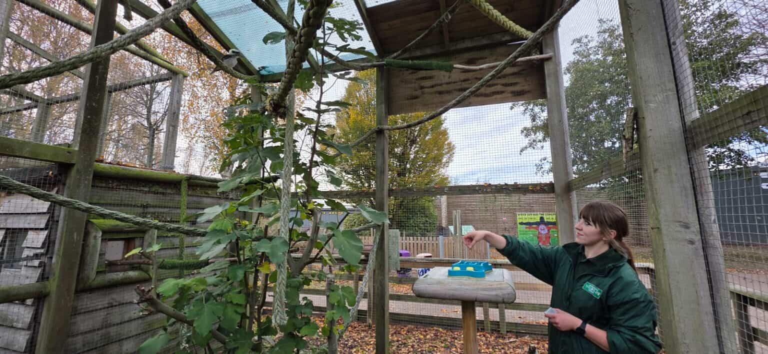 Celebrating Animal Enrichment Day on the Bird Section - Animal Experiences At Wingham Wildlife ...