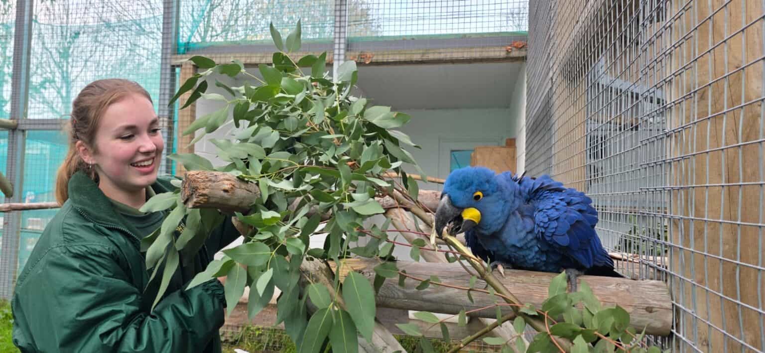 Celebrating Animal Enrichment Day on the Bird Section - Animal Experiences At Wingham Wildlife ...
