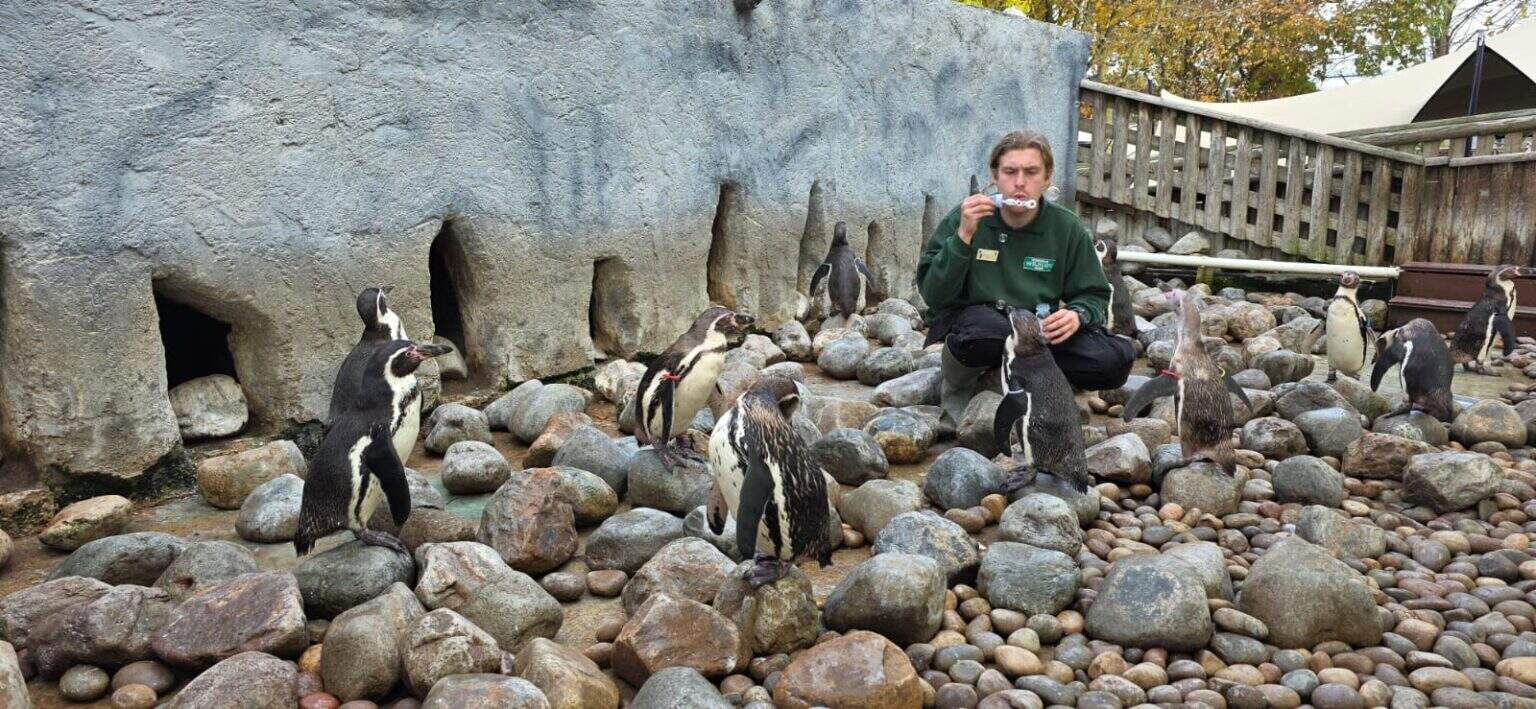 Celebrating Animal Enrichment Day on the Bird Section - Animal ...